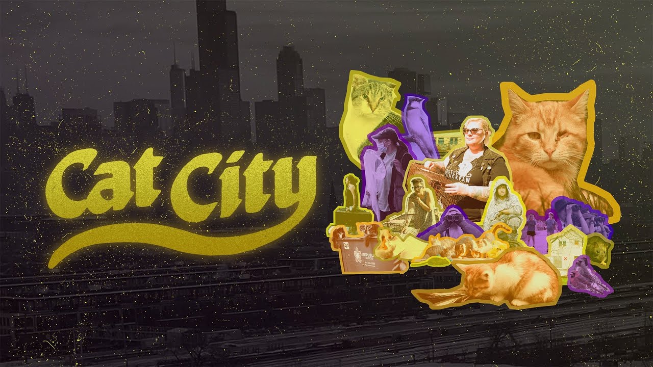 Review: 'Cat City' - Documentary Drive